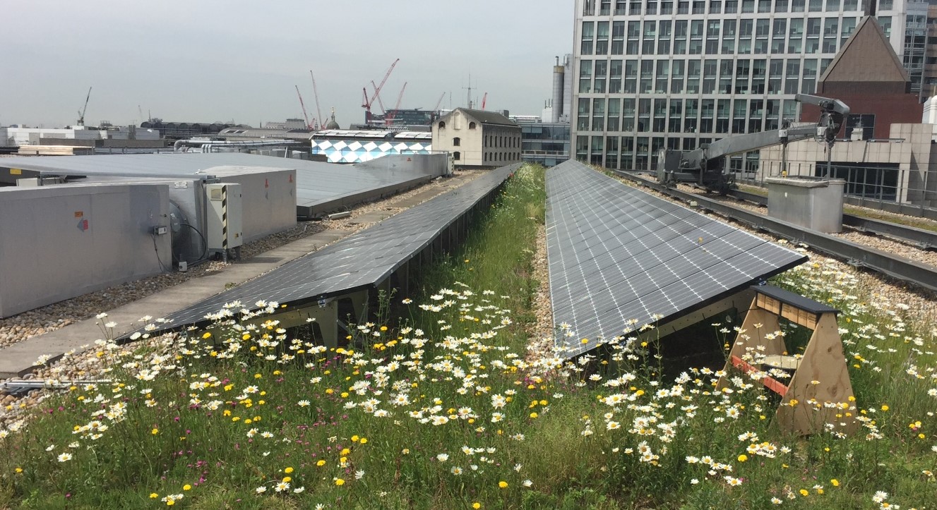 Biosolar Green Roofs - The Urban Greening Company