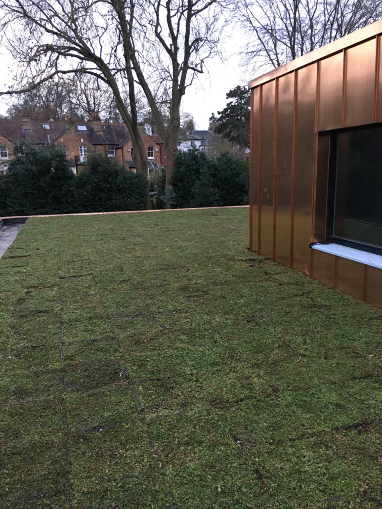Residential green roof installations - The Urban Greening Company