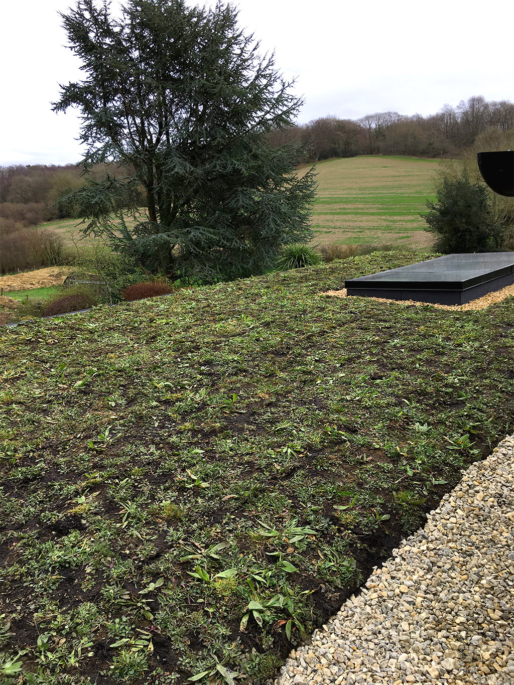 Residential Green Roof Installations - The Urban Greening Company