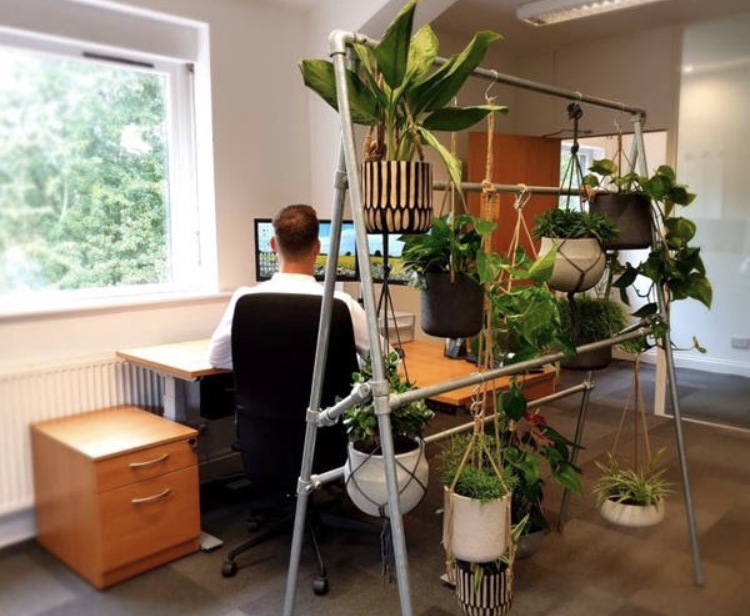 Social Distancing and Nature - The Urban Greening Company