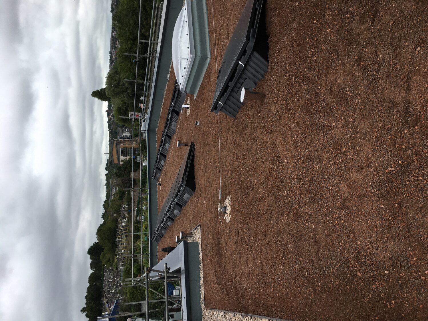 Biodiverse extensive green roof in Bristol - The Urban Greening Company