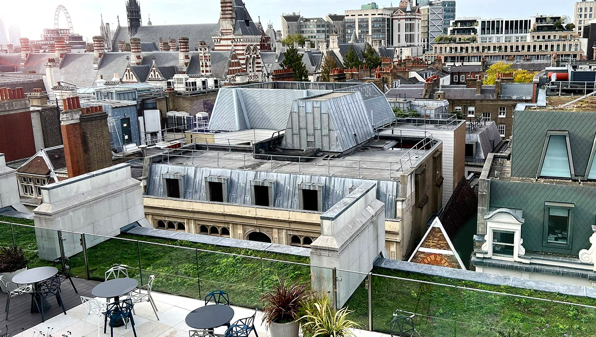 Green Roofs in the City of London - The Urban Greening Company