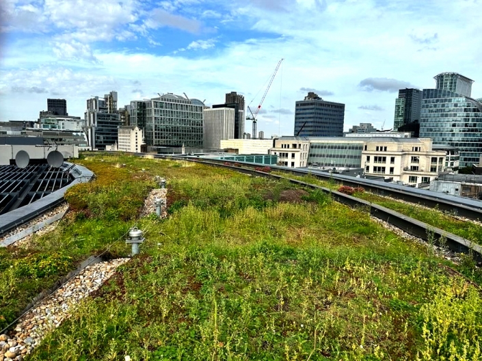 Green Roofs in the City of London - The Urban Greening Company