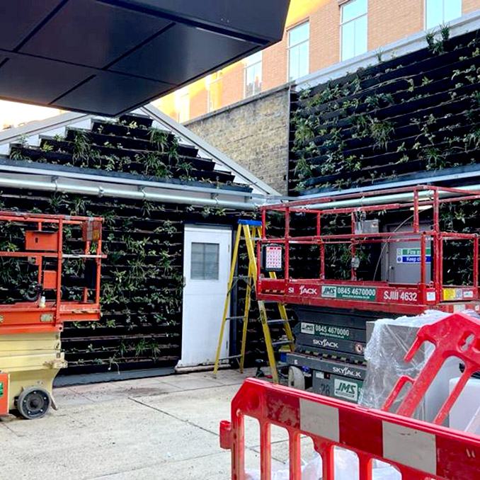 New London Living Wall Installation