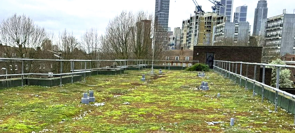 Iconic Green Roofs on the Ethelred Estate - The Urban Greening Company