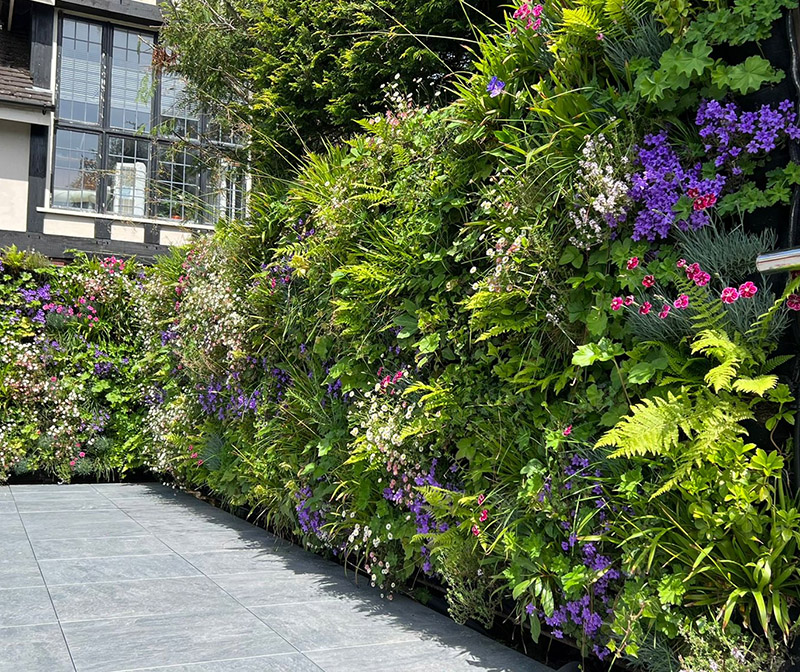 What are Living Green Walls? - The Urban Greening Company