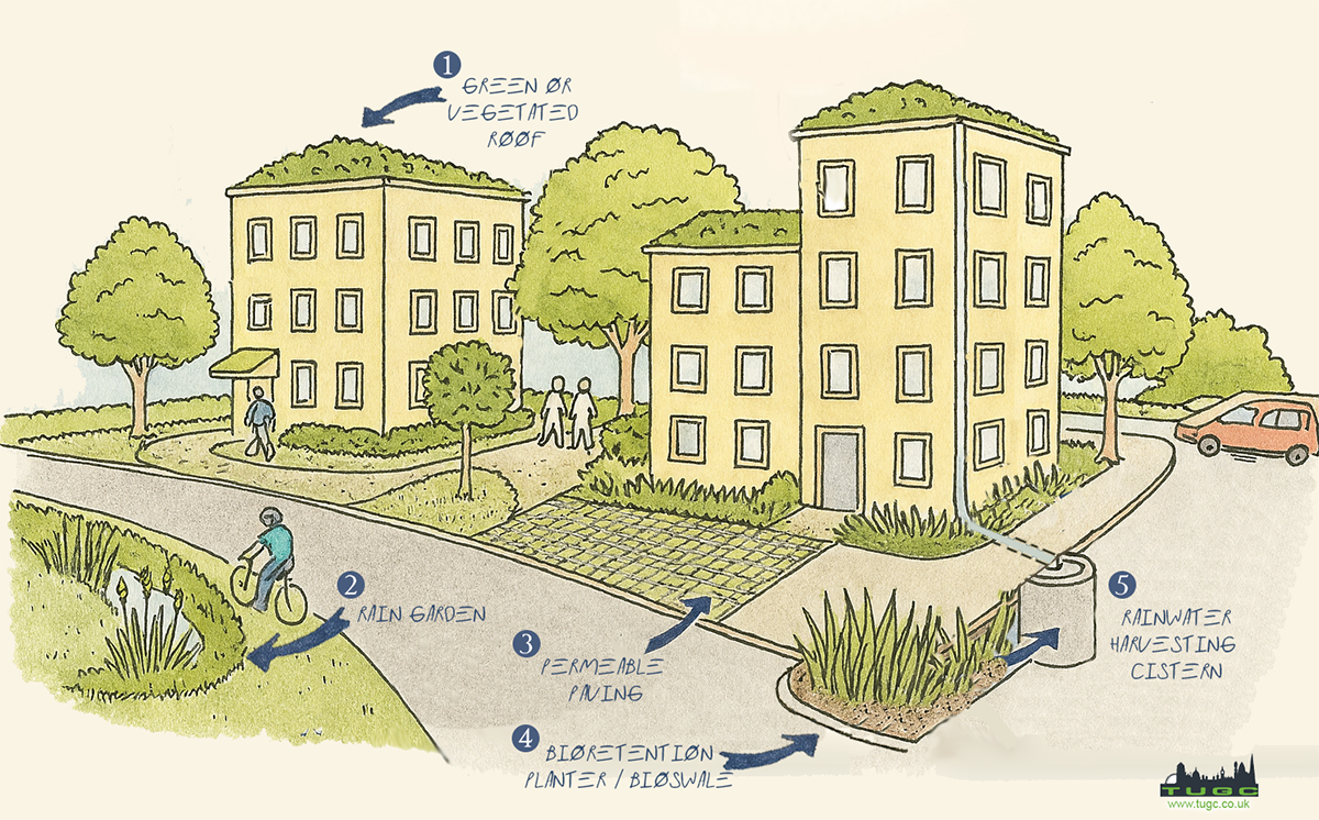 Integrating Green Infrastructure with Urban Design - The Urban Greening ...